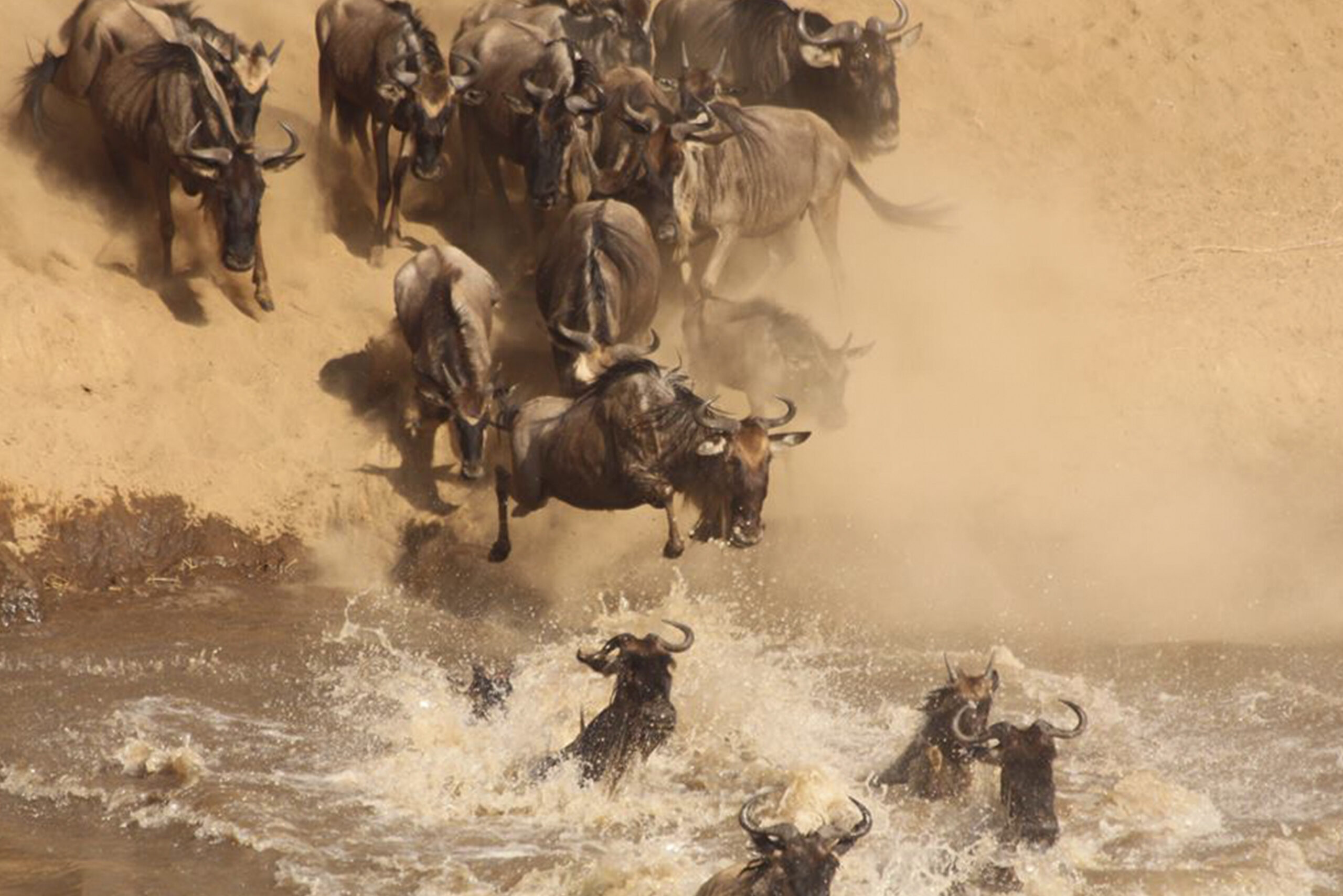 10 Day Adventure Lake Natron, The Great Migration and Big Cat Safari ...